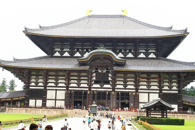 Relax in Nara: Deer Park, Todai-ji Temple and Merchants Town - Accessibility and Health Considerations