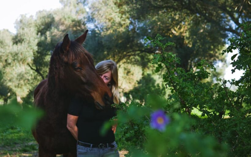Relax & Mindfulness with Horses in Vejer de la Frontera - An In-depth Look at the Experience