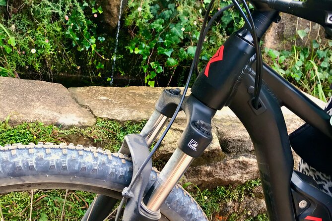 Relaxed E-Bike in the Backroads of Cascais and Sintra - Exploring the Historical Valleys and Forests