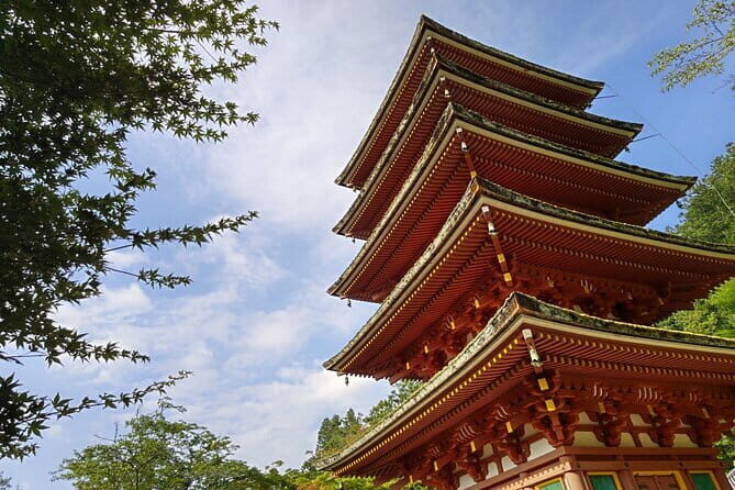 Relaxed Nara tour from Kyoto Hasedera and Muroji Temples - Who Would Love This Tour?