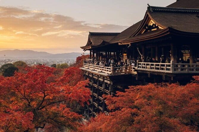 Relaxed Nara Tour from Osaka: Hasedera and Muroji Temples - FAQ
