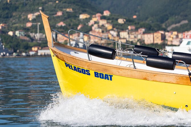 Relaxing Boat Tour With Aperitif in Cinque Terre - Accessibility Information