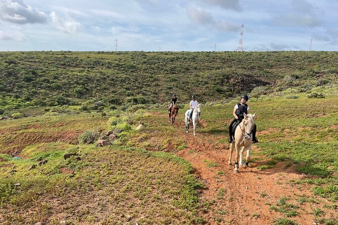 Relaxing Horse Riding Tour in Gran Canaria - Location and Setting