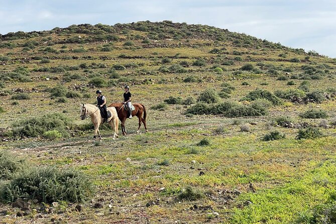Relaxing Horse Riding Tour in Gran Canaria - Pricing and Cancellation Policy