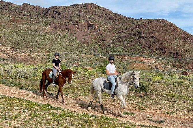 Relaxing Horse Riding Tour in Gran Canaria - Accessibility and Restrictions
