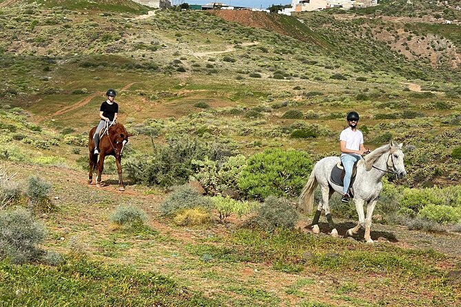 Relaxing Horse Riding Tour in Gran Canaria - Guest Reviews and Ratings