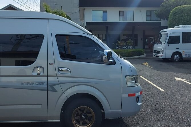 Relaxing Hotsprings and La Fortuna Visit Scenic Views of Arenal - Key Points