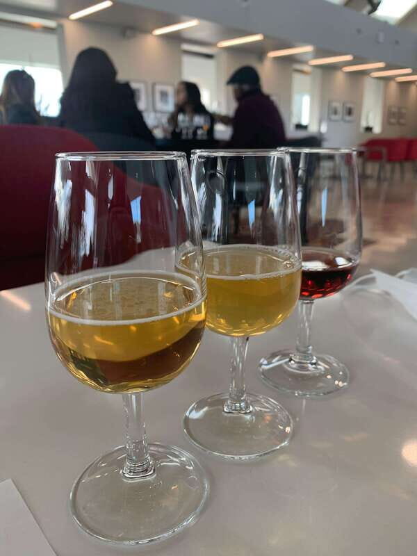 Relaxing Lunch & Wine Tour through Niagara's Wine Country - Key Points