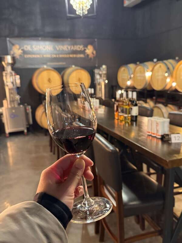Relaxing Lunch & Wine Tour through Niagara's Wine Country - Practical Information