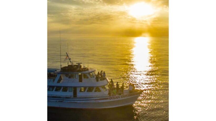 Relaxing Sunset/Evening Cruise in Newport Beach - What to Expect on Your Newport Beach Sunset Cruise