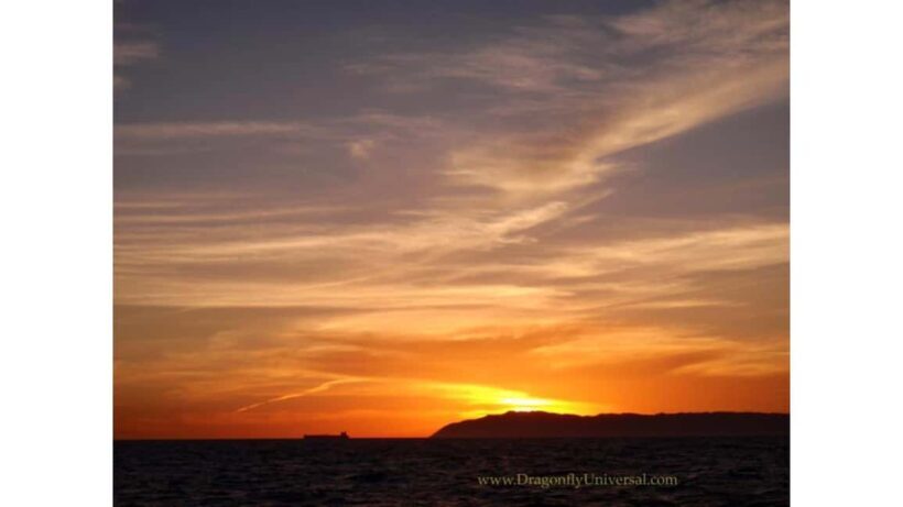Relaxing Sunset/Evening Cruise in Newport Beach - FAQ