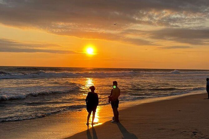 Release of Sea Turtles at Sunset - The Details You Need to Know