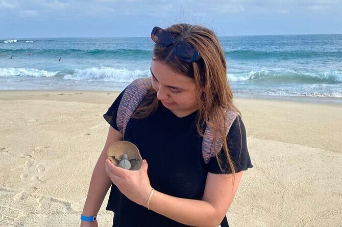 Release of Sea Turtles at Sunset - Final Thoughts: Is It Worth It?