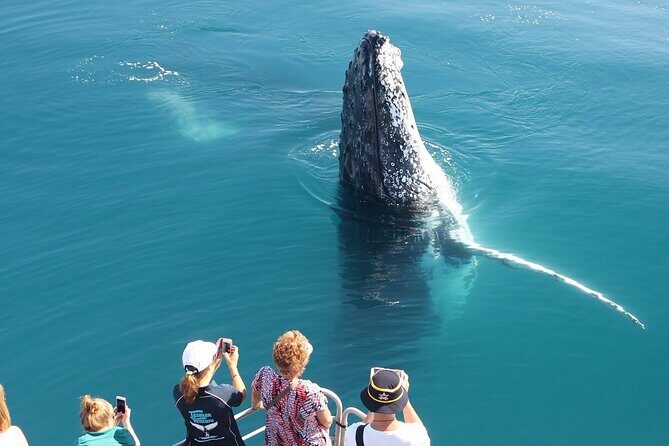 Remote K'gari (Fraser Island) & Whale Experience - Final Thoughts: Who Should Consider This Tour?