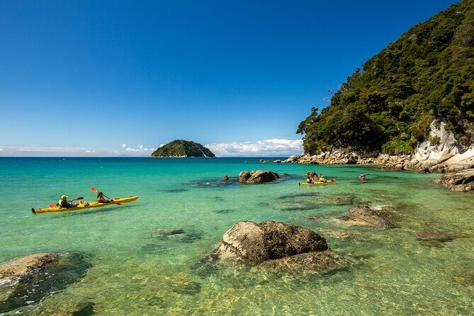 Remote Marine Reserve - Guided Kayaking - New Zealand - Key Points