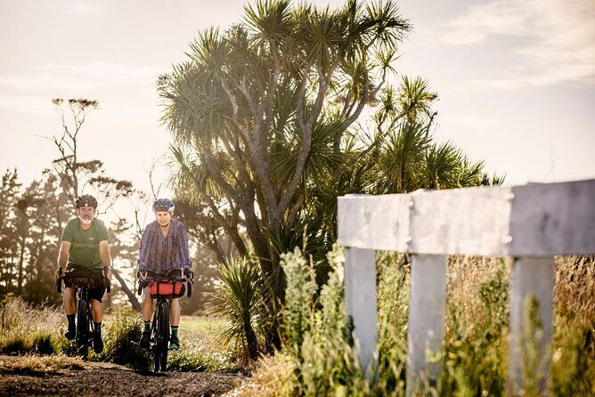 Remutaka Rail Trail eBike Explorer Cycle Tour - Final Thoughts