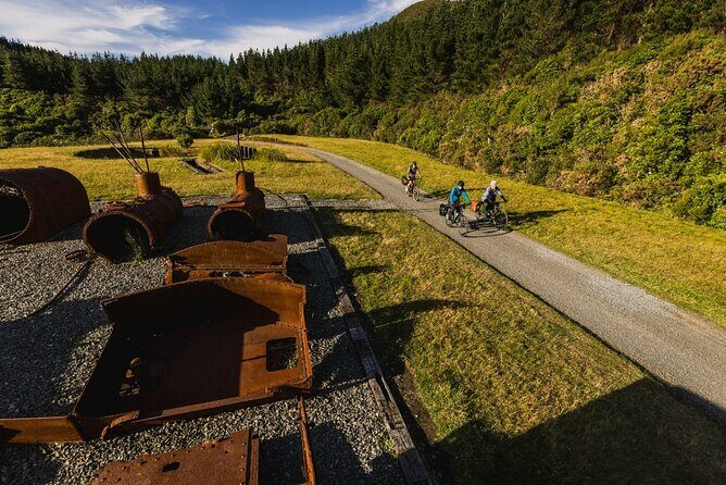 Remutaka Rail Trail Explorer - eBike Cruise Ship Shore Excursion - An In-Depth Look at the Remutaka Rail Trail eBike Tour