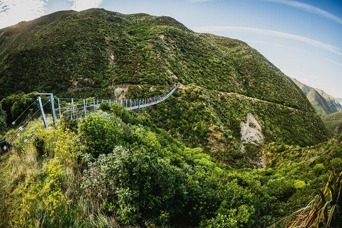 Remutaka Rail Trail Explorer - eBike Cruise Ship Shore Excursion - FAQ
