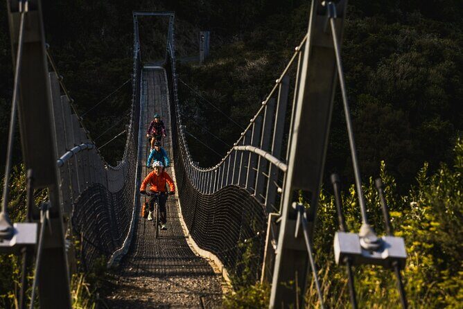 Remutaka Rail Trail Mountain Bike Explorer Cycle Tour - The Value Proposition