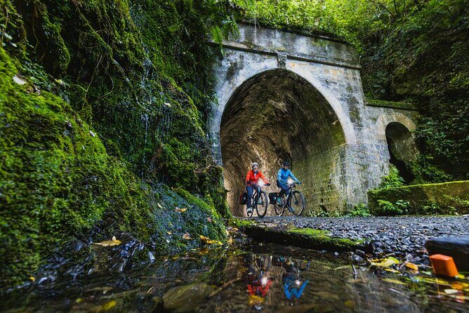 Remutaka Rail Trail Mountain Bike Explorer Cycle Tour - Who Will Love This Tour?