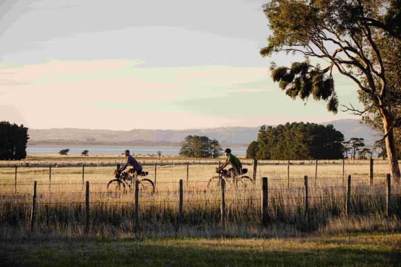 Remutaka Rail Trail Mountain Bike Explorer - Key Points