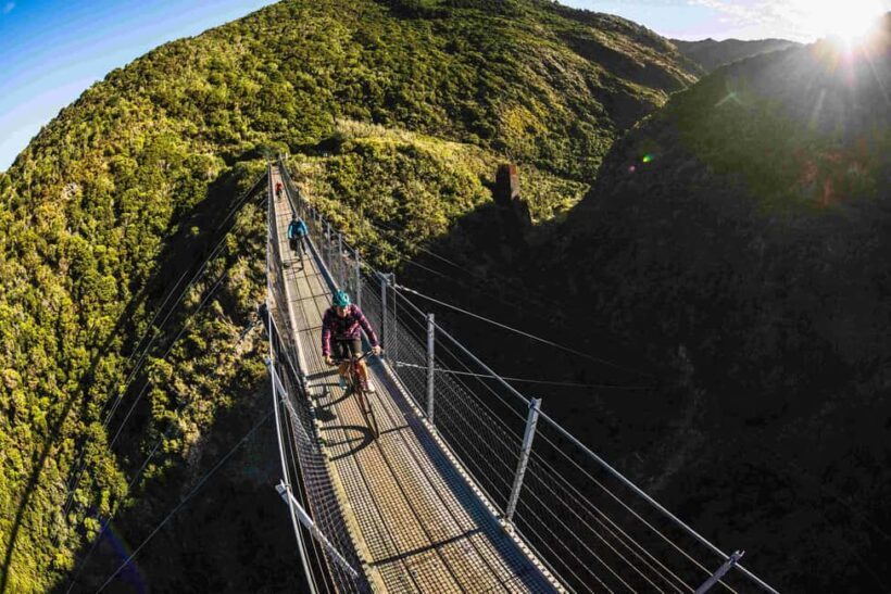Remutaka Rail Trail Mountain Bike Explorer - What’s It All About? A Complete Breakdown