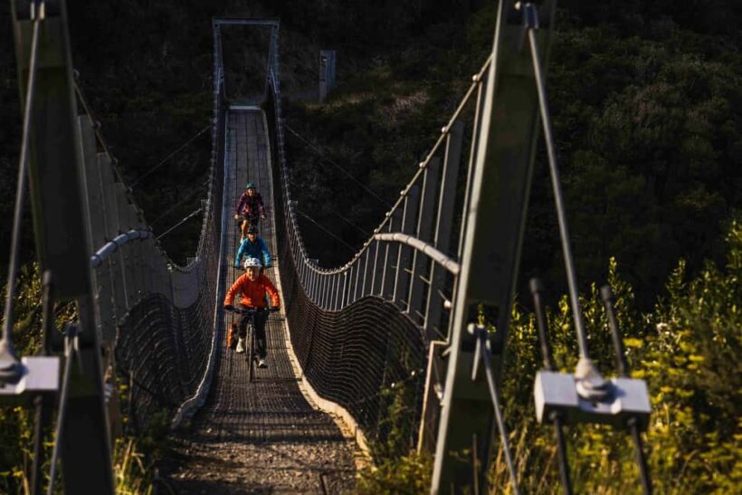 Remutaka Rail Trail Mountain Bike Explorer - The Experience: What Really Makes It Special