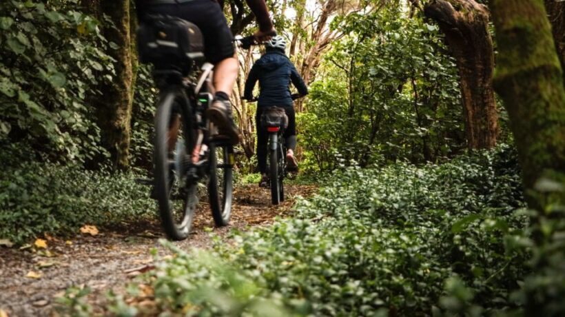 Remutaka Rail Trail Mountain Bike Explorer - Who Will Love This Tour?