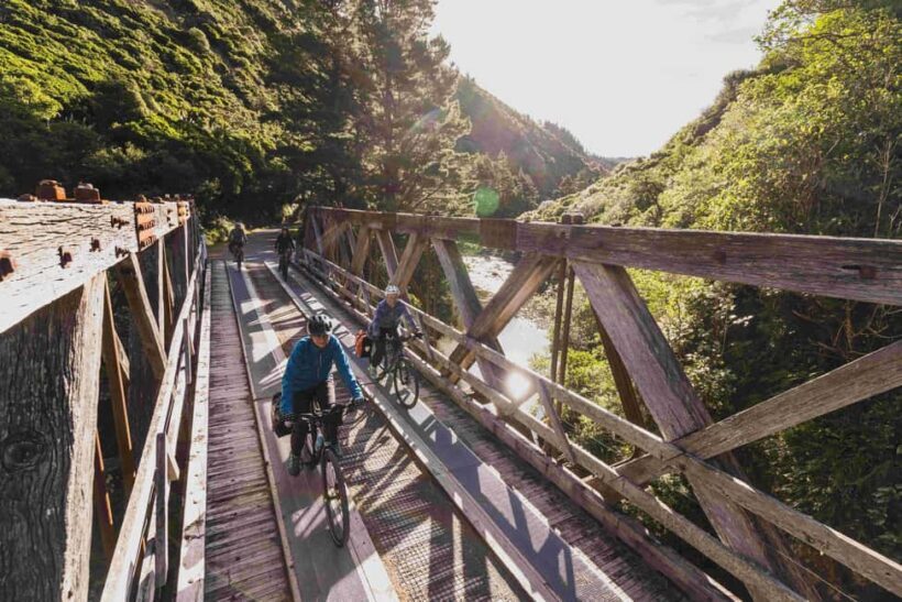 Remutaka Rail Trail Mountain Bike Explorer - The Sum Up: Who Is This Tour For?