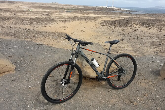 Rent A Bike (electric & Normal) Corralejo - Pricing and Value Analysis