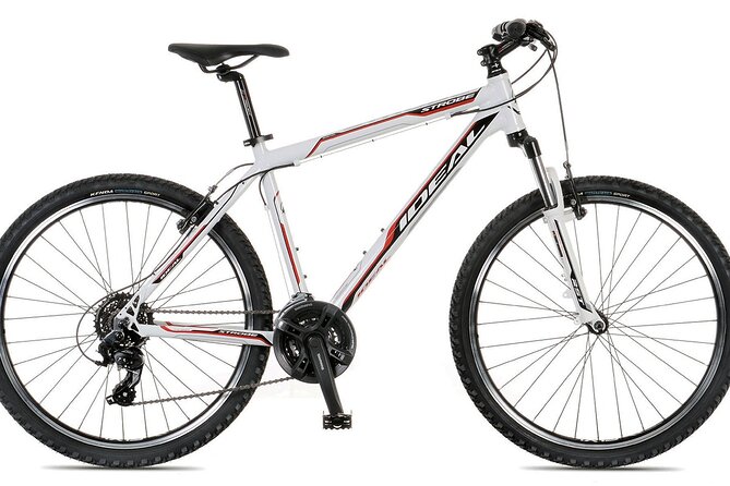 Rent a Bike in Ammoudara, Heraklion - Who Will Love This Experience?