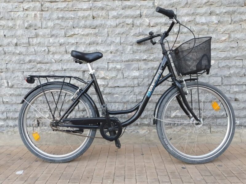 Rent a bike in Malaga - Who Should Consider This Bike Rental?