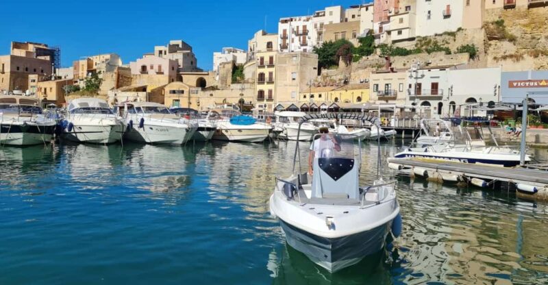 Rent a Boat Half Day June in Castellammare Del Golfo Q19 - Booking and Payment