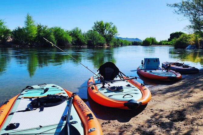 Rent a Paddle Board And Float the Lower Salt River - Introducing the Experience: Rent a Paddle Board and Float the Lower Salt River