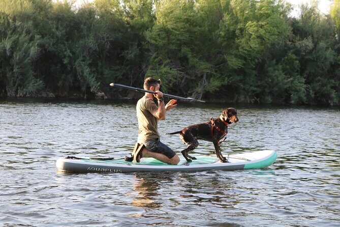 Rent a Paddle Board And Float the Lower Salt River - The Sum Up: The Value of a Self-Guided Salt River Float