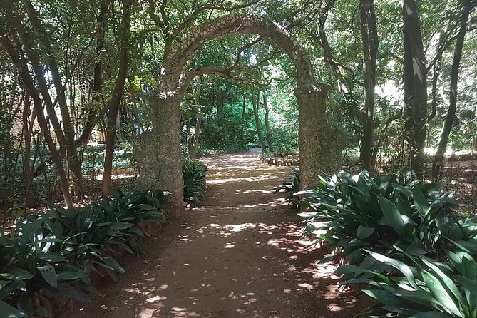 Rent a Speed Boat and Explore Beaches and Coves of Elaphiti Islands - How to Make the Most of Your Trip