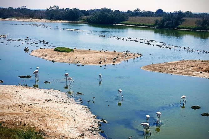 Rent a Trekking Bike: Full Day 24 Hours - Customer Reviews and Ratings