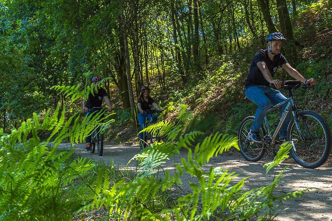 Rent Bikes / E-Bikes - The Itinerary and the Scenic Highlights