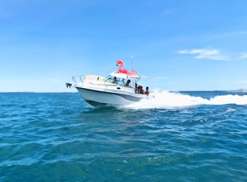 Rent Boat Valencia Yatch Polonova with capitan and drinks - Detailed Breakdown of the Experience