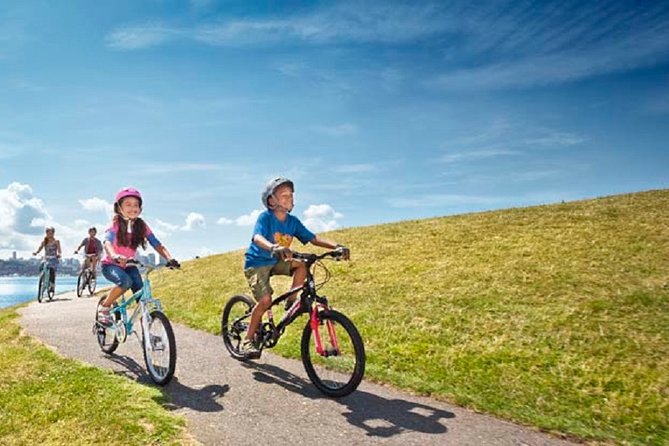 Rent City Bike 18 gears from 9 hours to 7 days: Visit Maspalomas - Authentic Feedback From Travelers