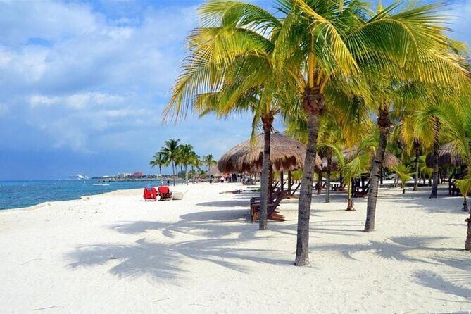 Rent Jeep 4 Doors with Air Conditioning Cozumel Excursion - The Sum Up