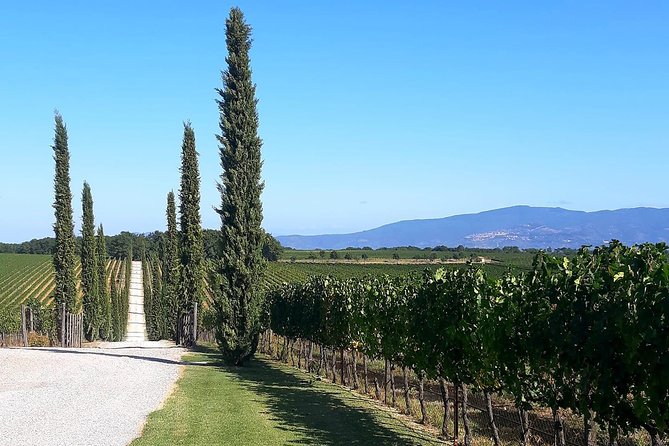 Rent With Driver - Exploring Arezzo With Comfort and Convenience