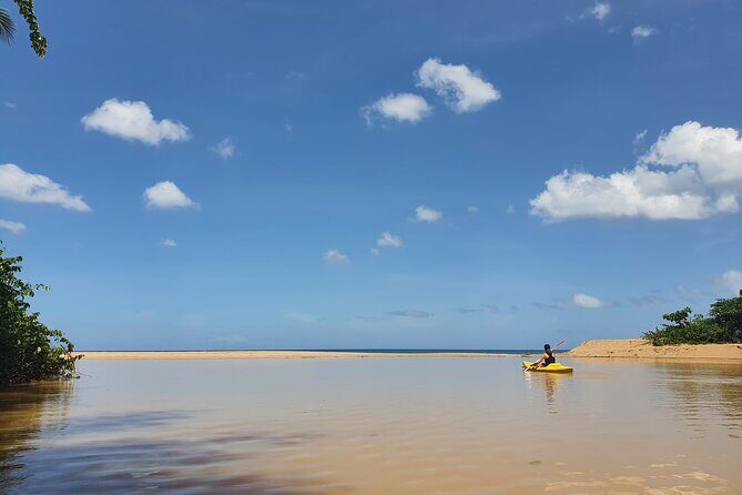 Rental Kayaking or Stand-up Paddle 2H - A Closer Look at the Experience