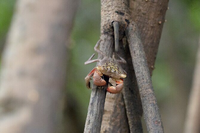 Rental Kayaking or Stand-up Paddle 2H - FAQ
