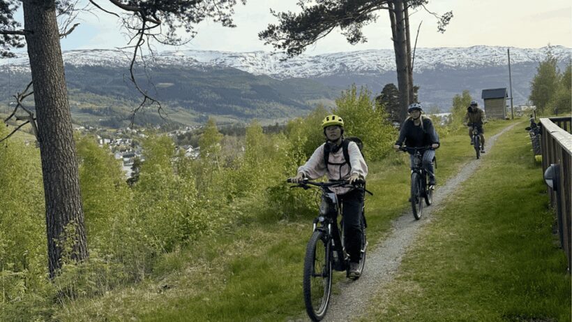 Rentals | E-Trekking Bike - Who Will Love This Experience?