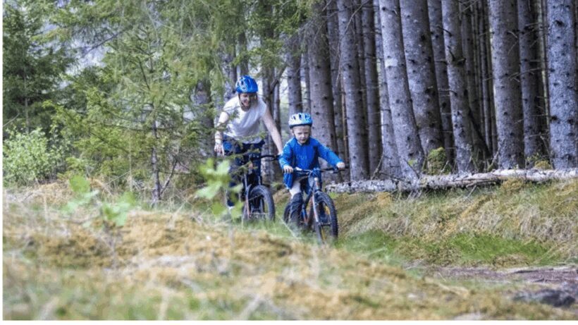 Rentals | Mountain Bike - Full Suspension - Why This Rental Offers Good Value