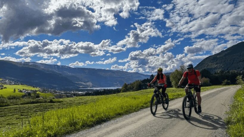 Rentals | Mountain Bike - Full Suspension - Detailed Breakdown of the Experience