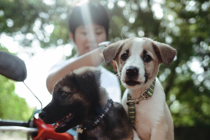 Rescue P.A.W.S. Day Visit - What You Can Expect from the Rescue P.A.W.S. Day Visit