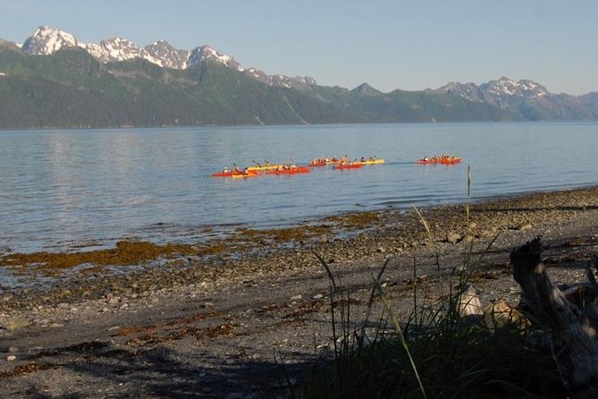 Resurrection Bay Kayaking Adventure - Key Points