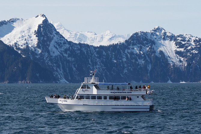 Resurrection Bay Spring Wildlife Cruise - Onboard Experience